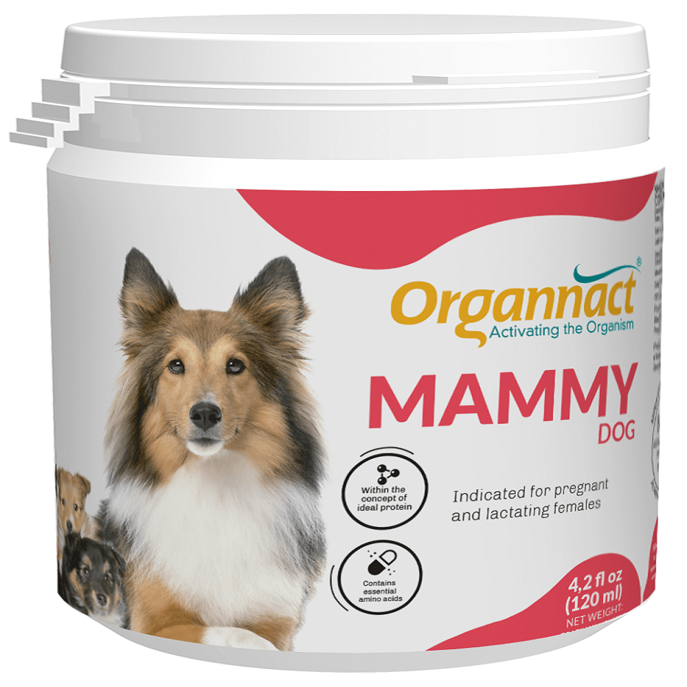 Suplemento Mammy Dog - 120G - American Pet